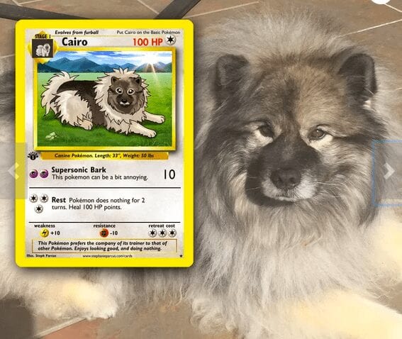 You Can Now Buy Custom Pokémon Cards Featuring Your Pet