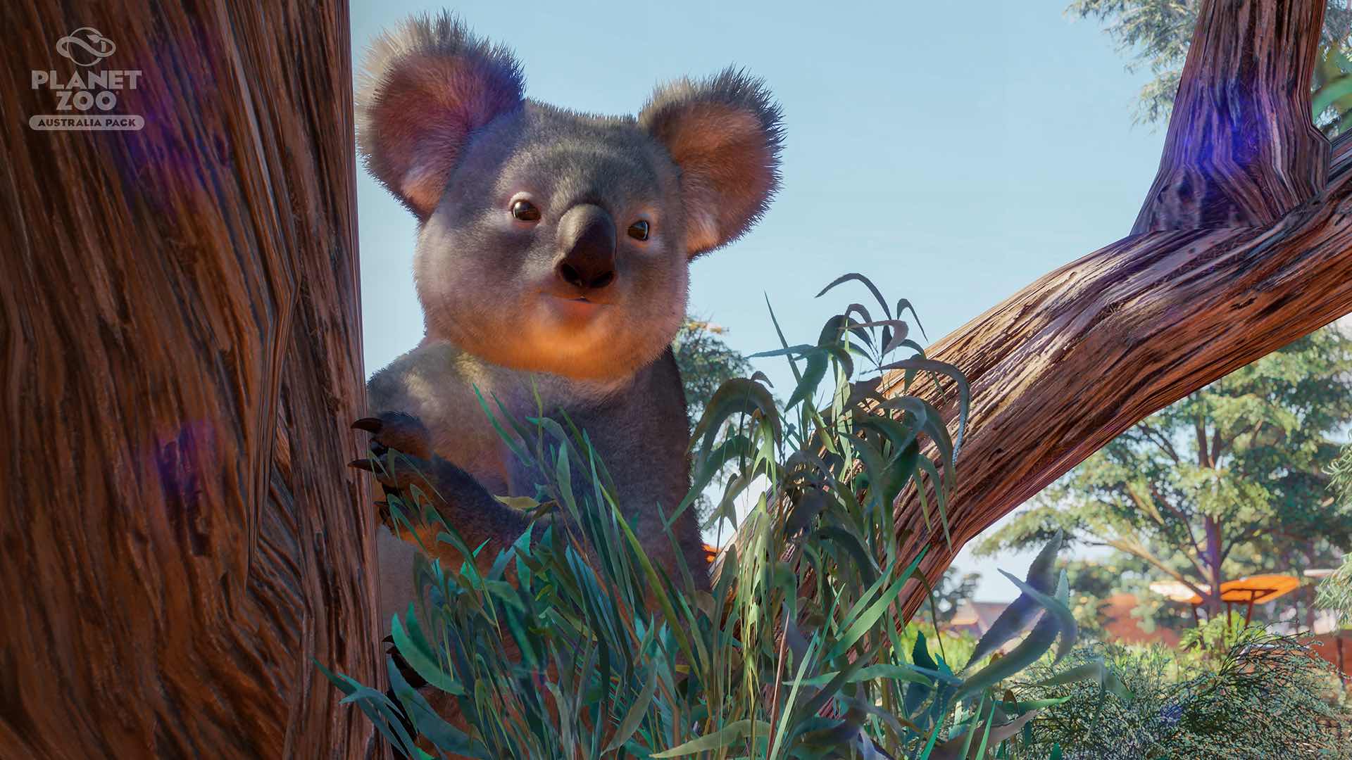 Meet The Animals Coming To Planet Zoo’s Australia Pack!