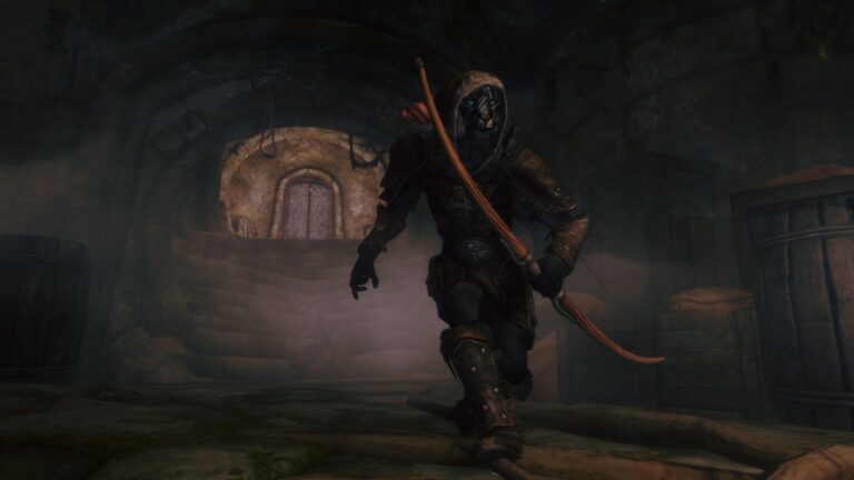 Skyrim Guide: Best Thief Builds To Use