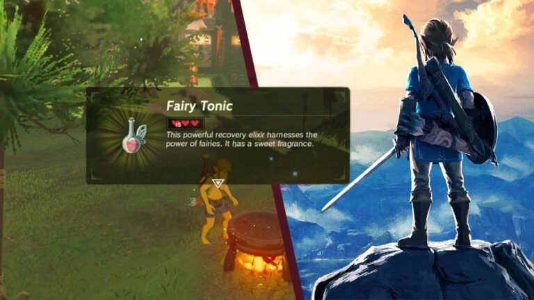 Fairy Tonic BotW | A Full Guide